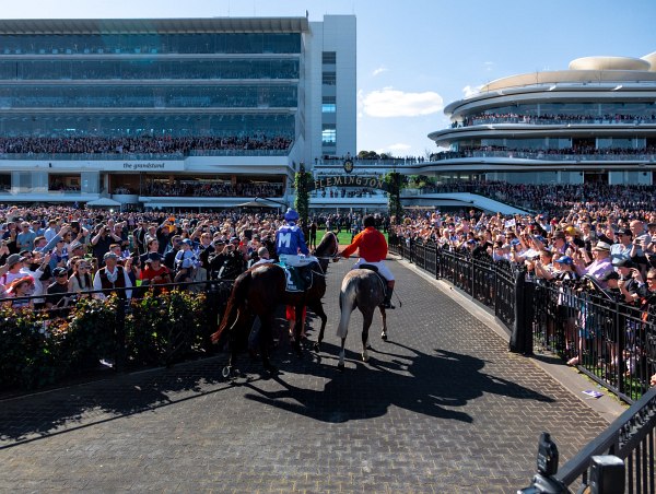 Juvenile Champion Citizen Bull Returns to Winning Form in Shared Belief ...